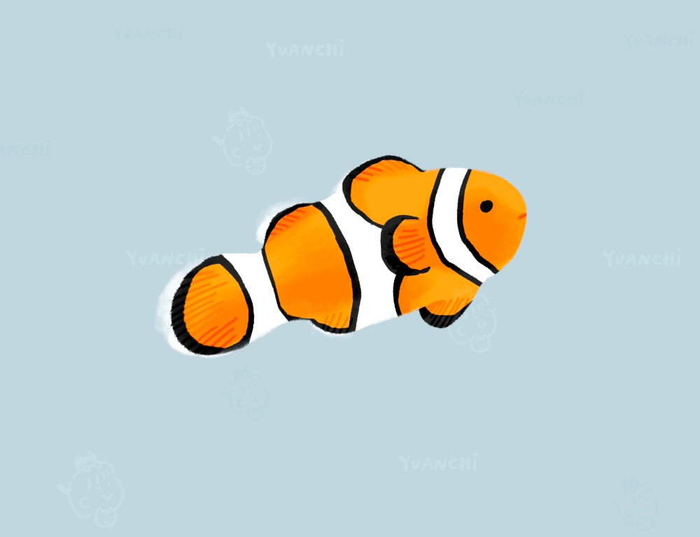 魚怎麼畫？Procreate 電繪教學 – YUANCHi